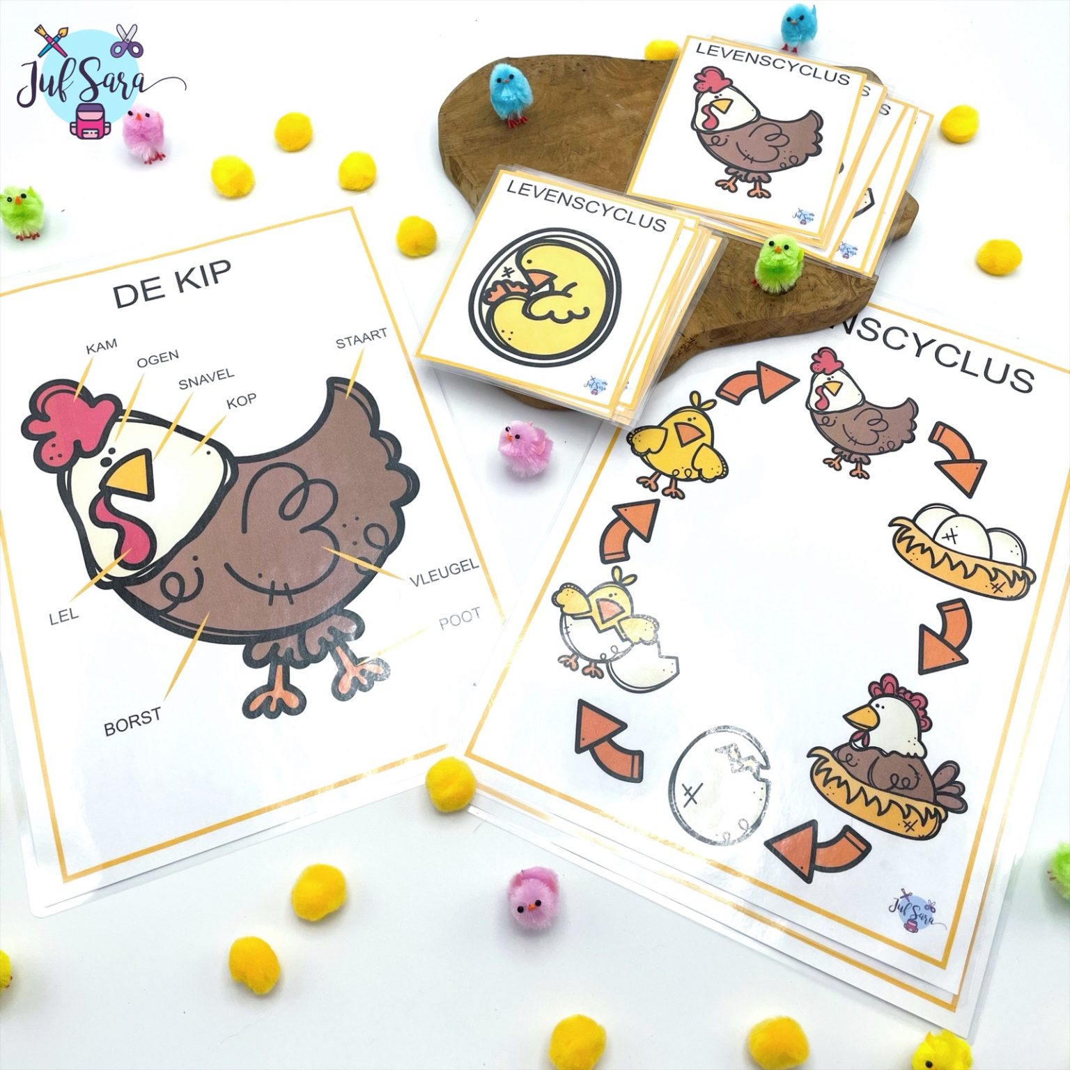 Kip en ei bundel – Juf Sara