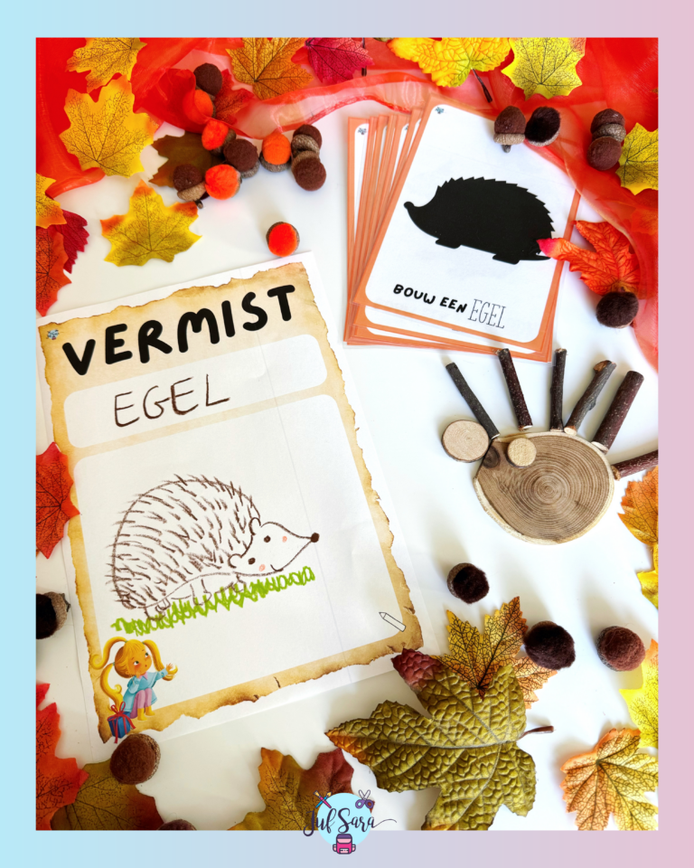 Pippa en de vermiste egel XL bundel. – Juf Sara